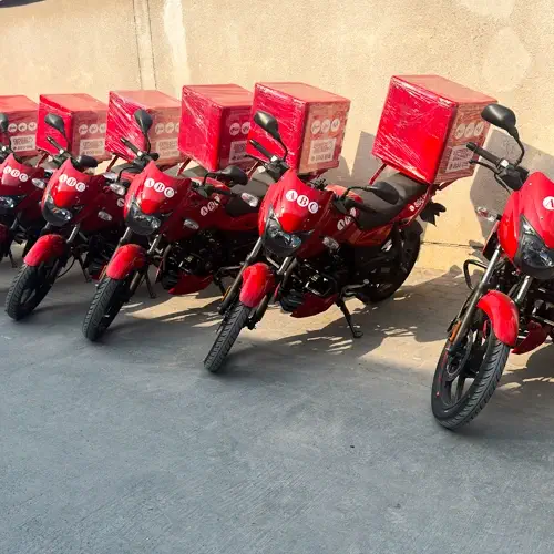 Domestic courier service UAE | ABC Cargo and Courier